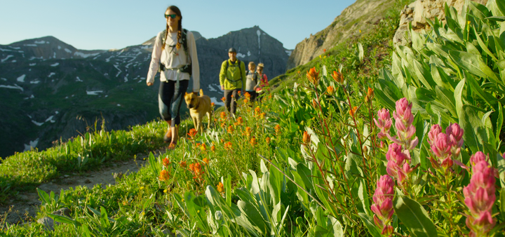 Take A Hike! Free Guided Hikes with Guest Services | Telluride Ski & Golf